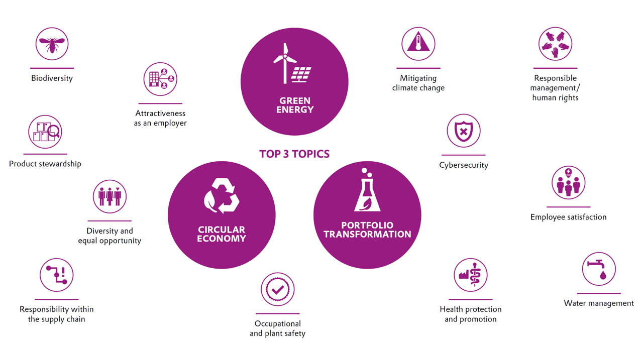 Sustainable Corporate Strategy
