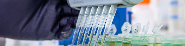 35 million euro for sustainable biotech: International consortium ...