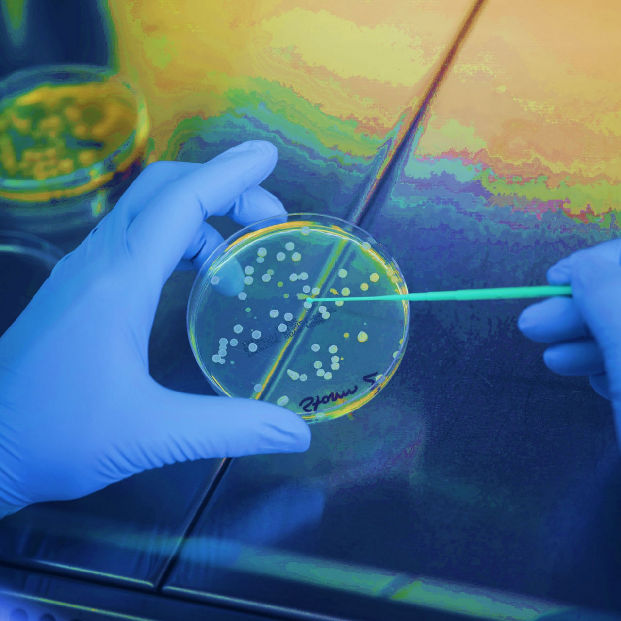 B4U™ microbial strain library