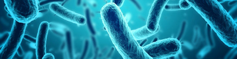 B4U™ microbial strain library