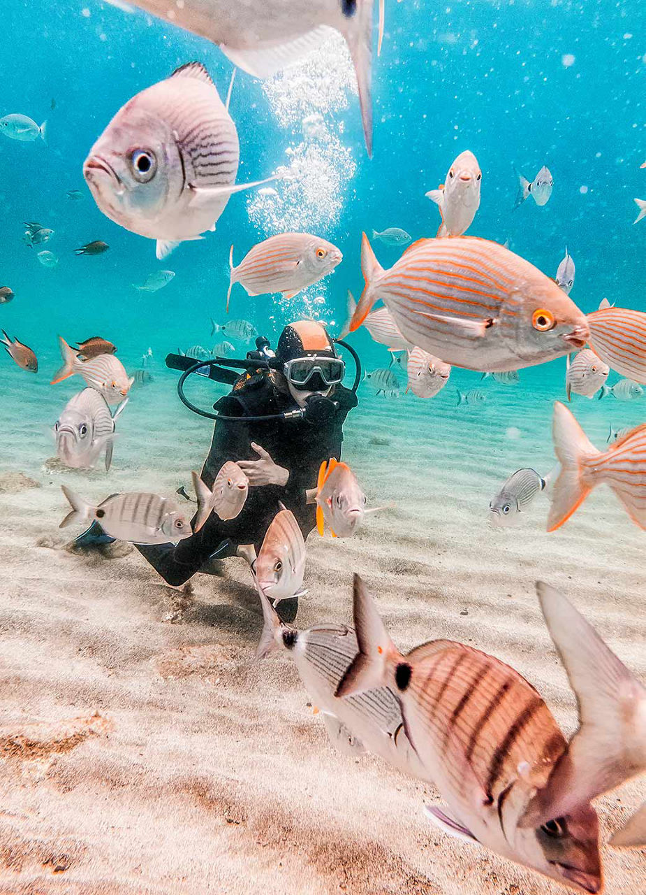 Deep into the blue: diving off Lanzarote | Edelweiss