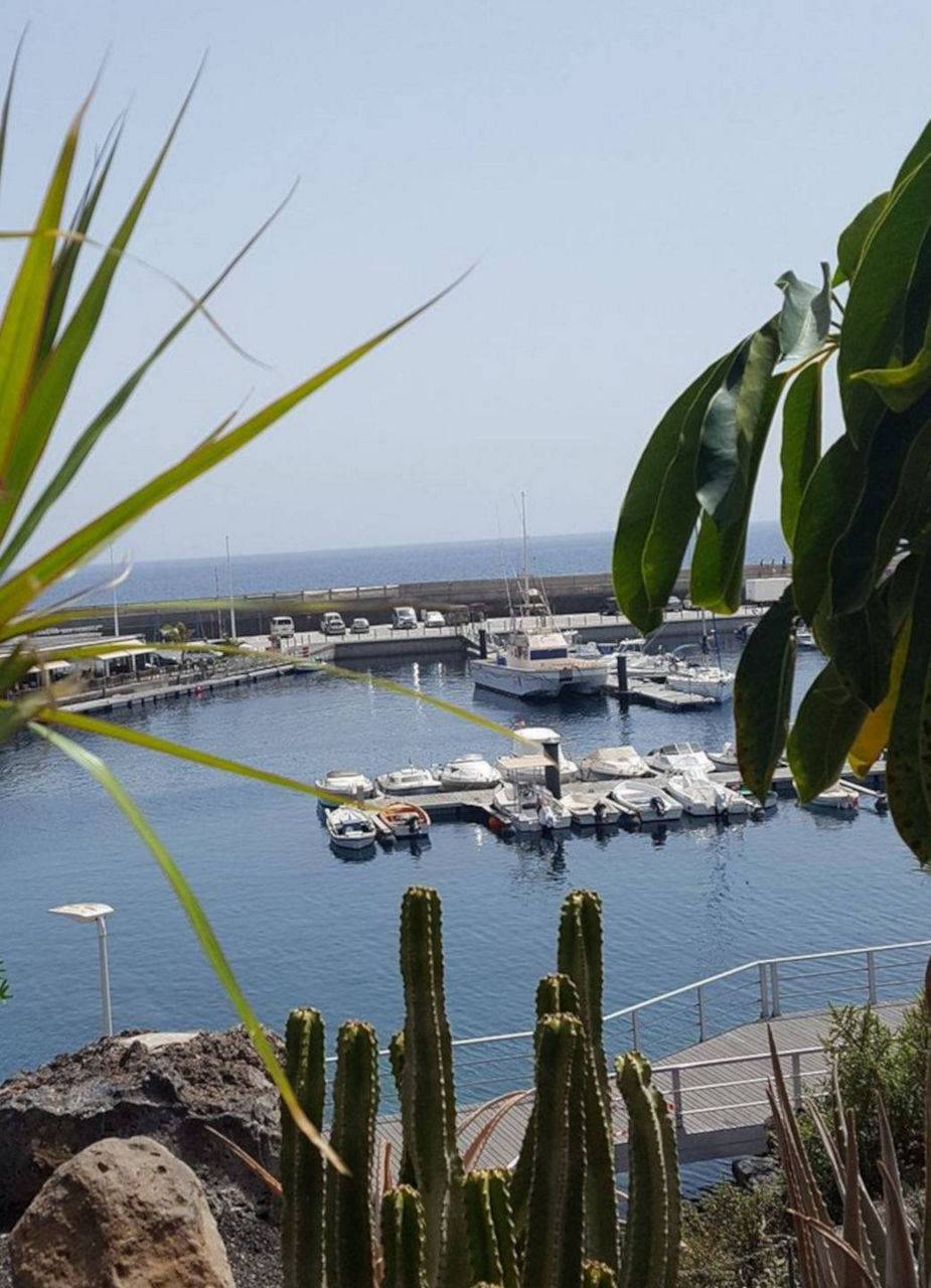 The best fish restaurants on Lanzarote | Edelweiss