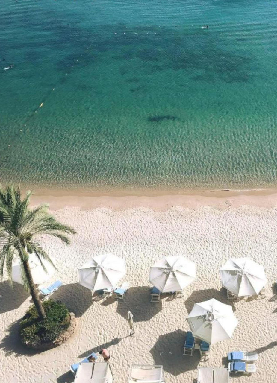 Top beach hotels in Aqaba on the Red Sea | Edelweiss