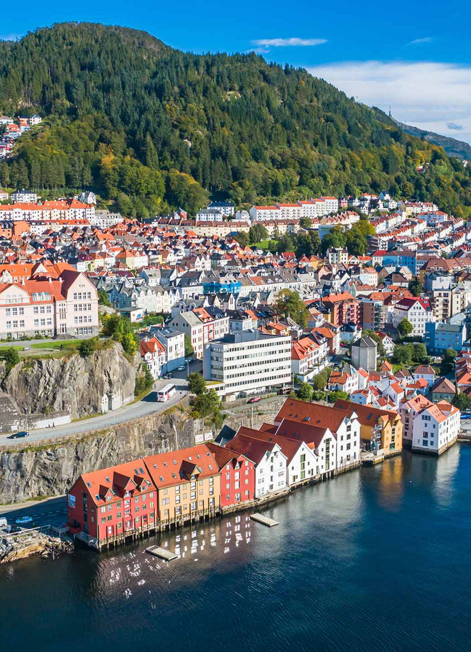 Tips City | Edelweiss