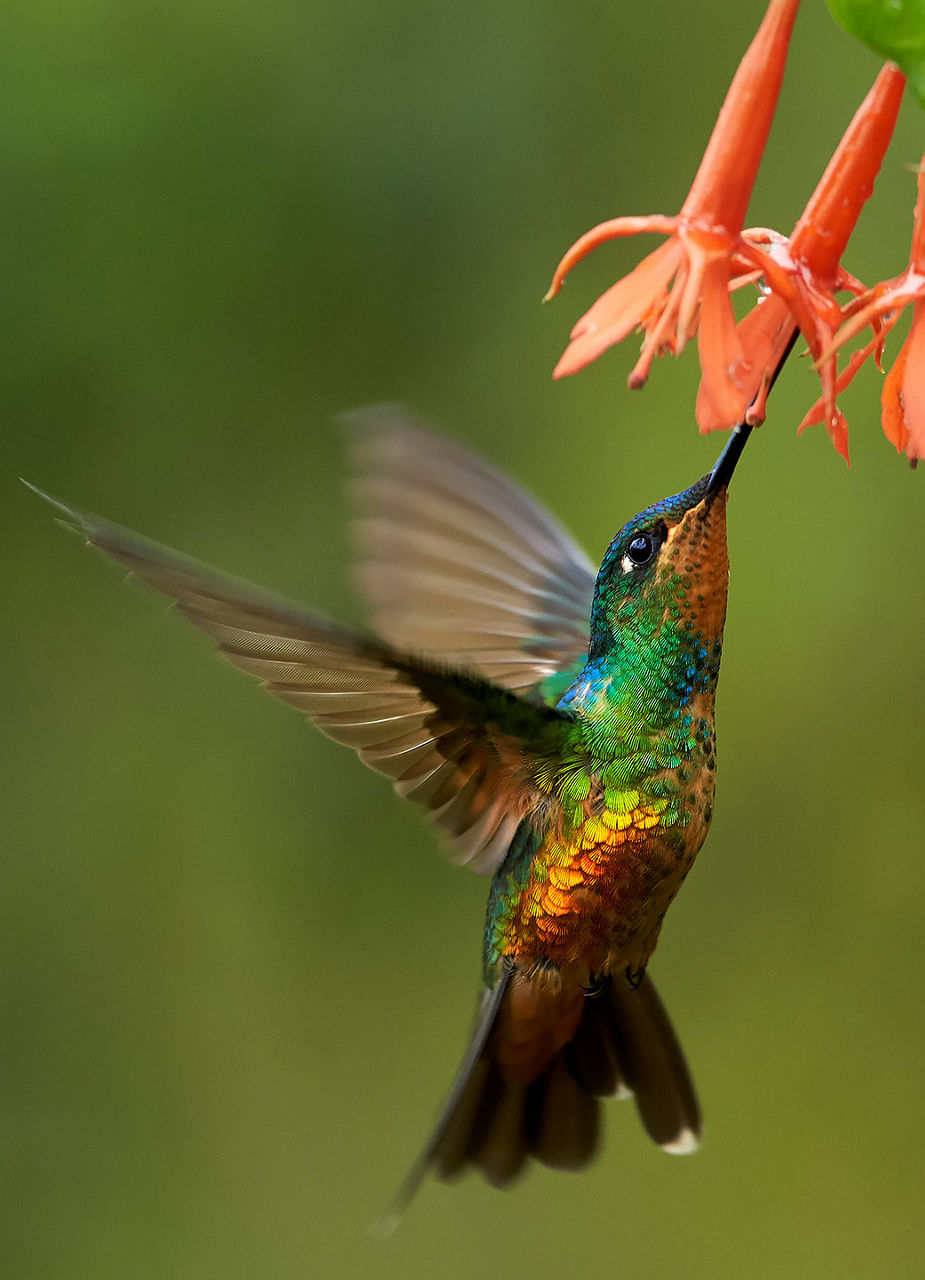 Excursions in the surroundings of Bogotá | Edelweiss