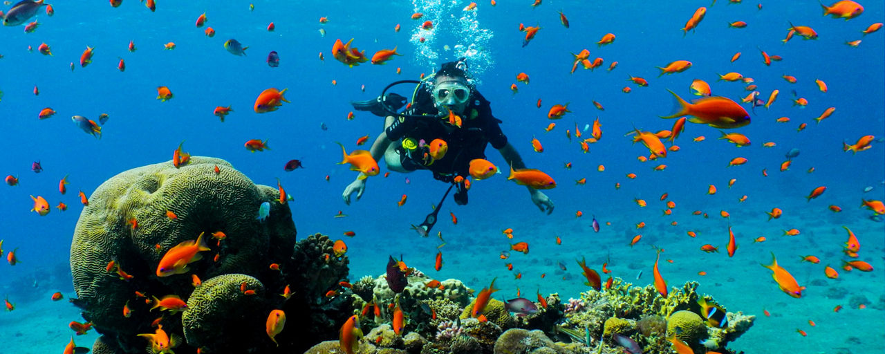 Diving & Snorkelling in Punta Cana, Dominican Republic | Edelweiss
