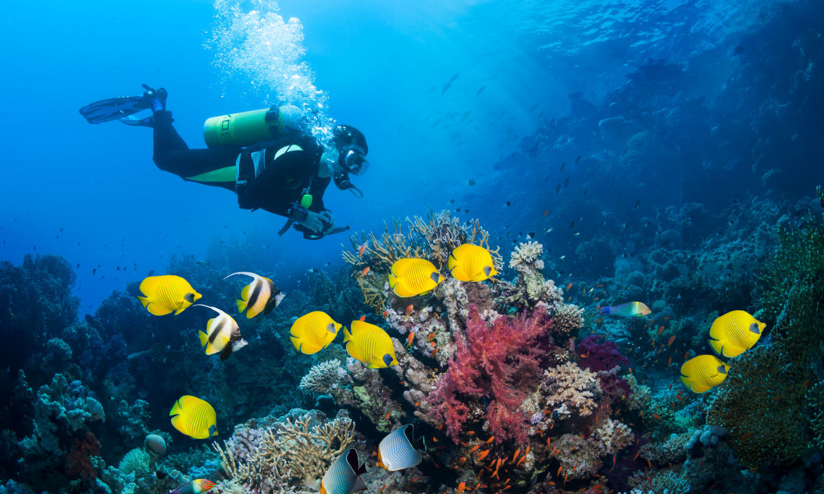 Tauchen in Ägypten: Hurghada & Marsa Alam | Edelweiss