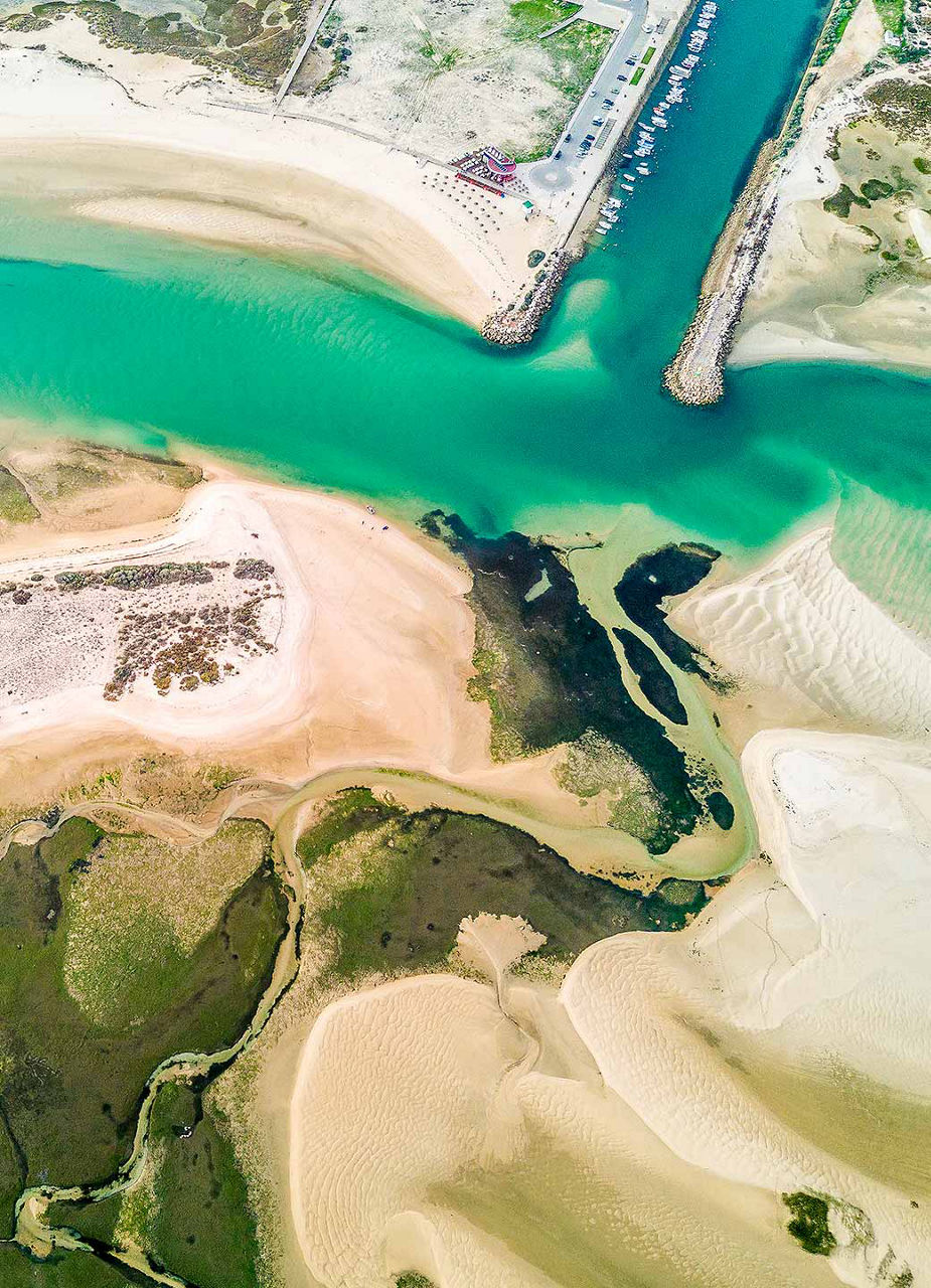 Visit flamingos in the Ria Formosa Nature Park | Edelweiss