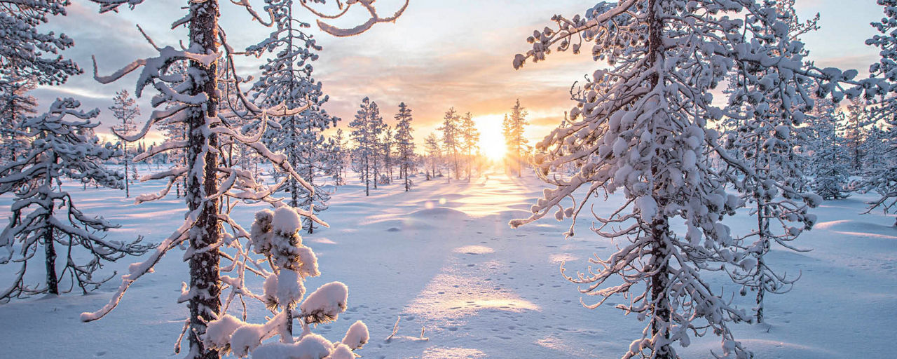 Holidays in Lapland - Kittilä, Finland | Edelweiss
