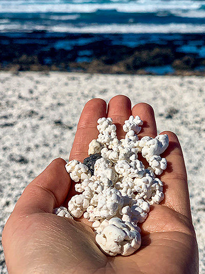 Fuerteventura's most beautiful beaches | Edelweiss
