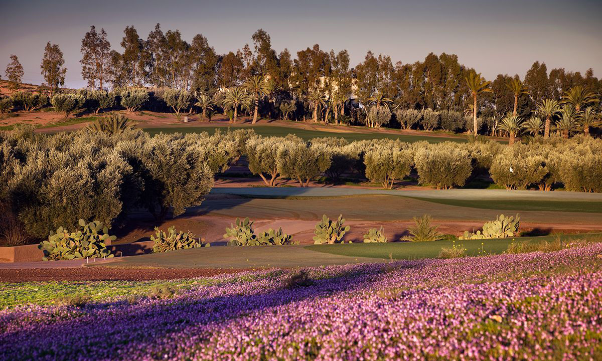 Golf in Marrakech: The top golf courses in Morocco | Edelweiss