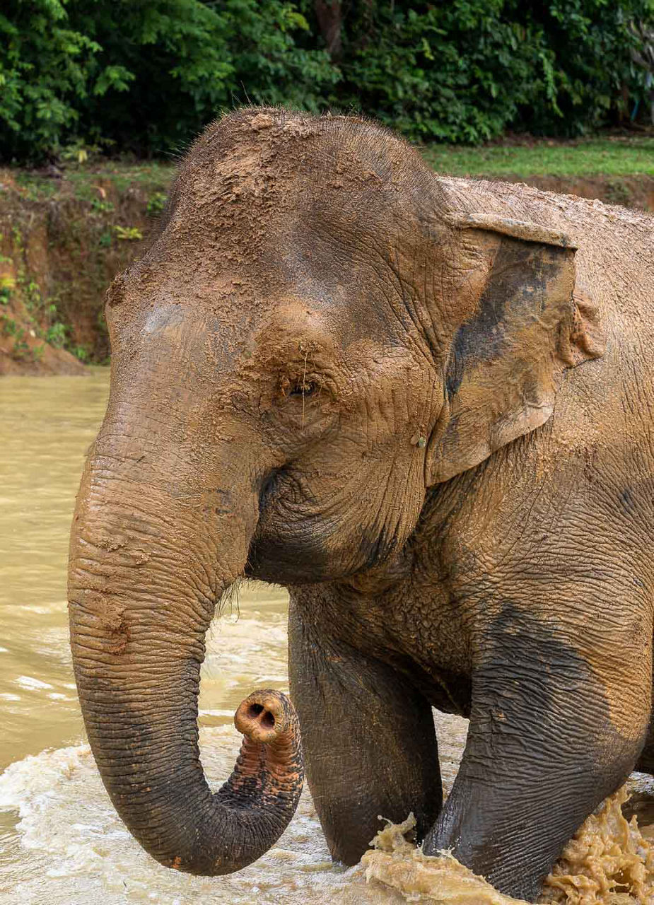 Nature & nightlife: the highlights in Phuket | Edelweiss