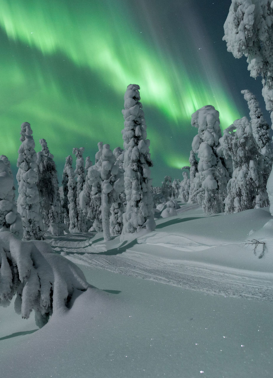 Winter dreams come true in Lapland