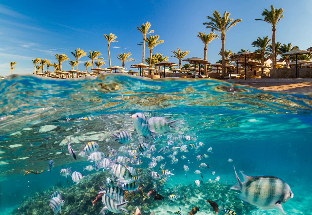 Marsa Alam - holidays in Egypt with direct flight | Edelweiss