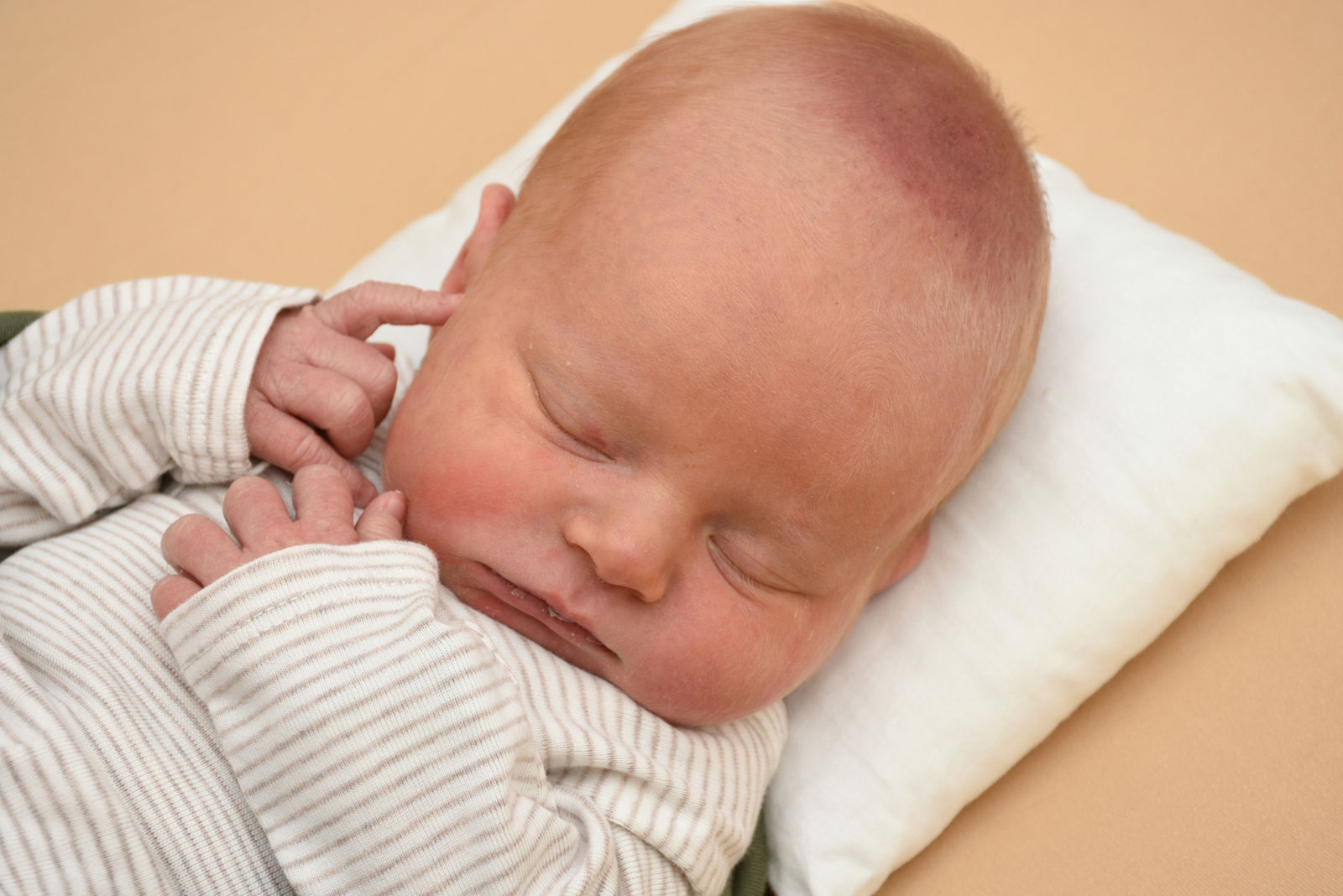 Harvey Finn | Helios Klinikum Pirna