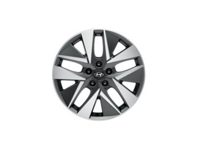 Accessori originali IONIQ 6 | Hyundai