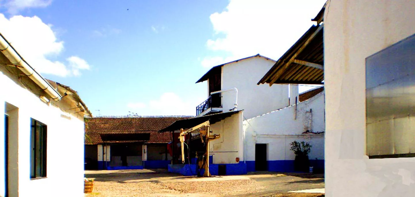 Bodegas Amancio Menchero | Web oficial de Turismo de Castilla-La Mancha