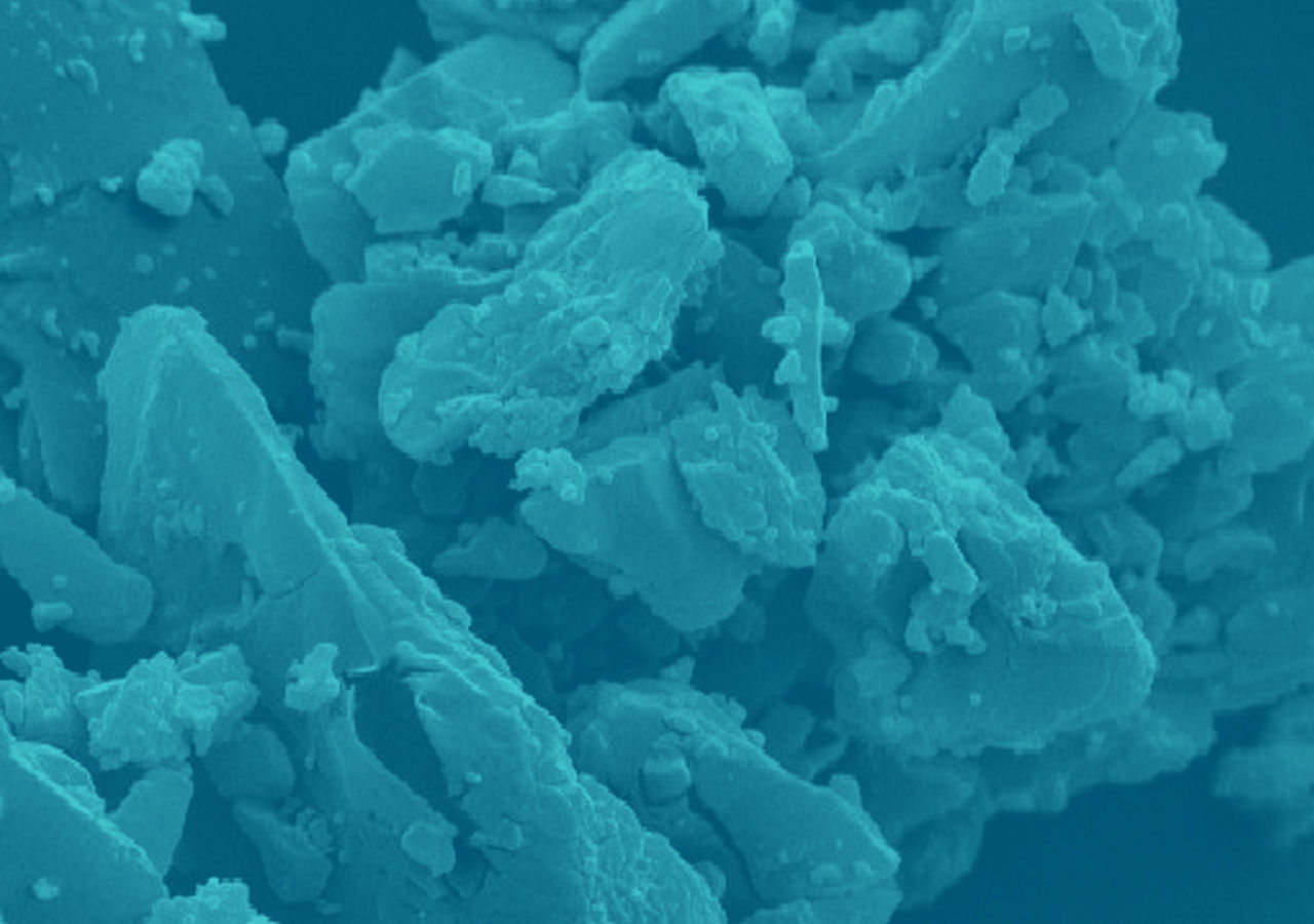 Pharmaceutical Lactose Excipient