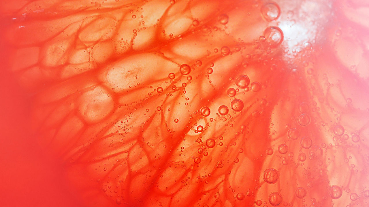 Juice, Profit and the Planet: Reinventing Resilience Through Ingredient ...