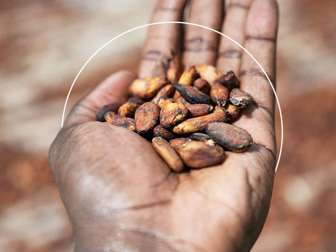 Reduce Cocoa Powder Usage While Maintaining Chocolate Taste | Kerry