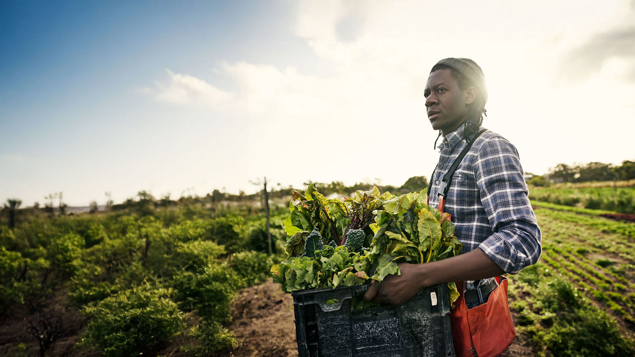Nutrition & Health | Kerry