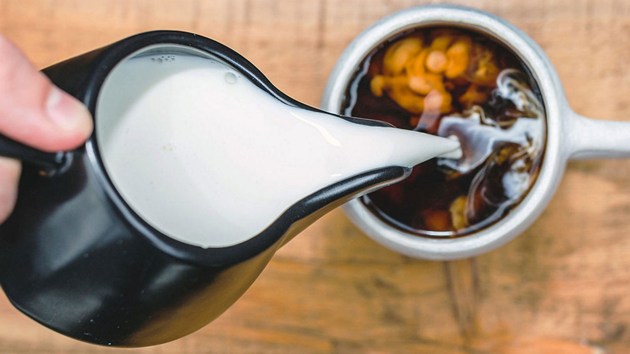 Dairy & Dairy Alternative Ingredient Solutions | Kerry