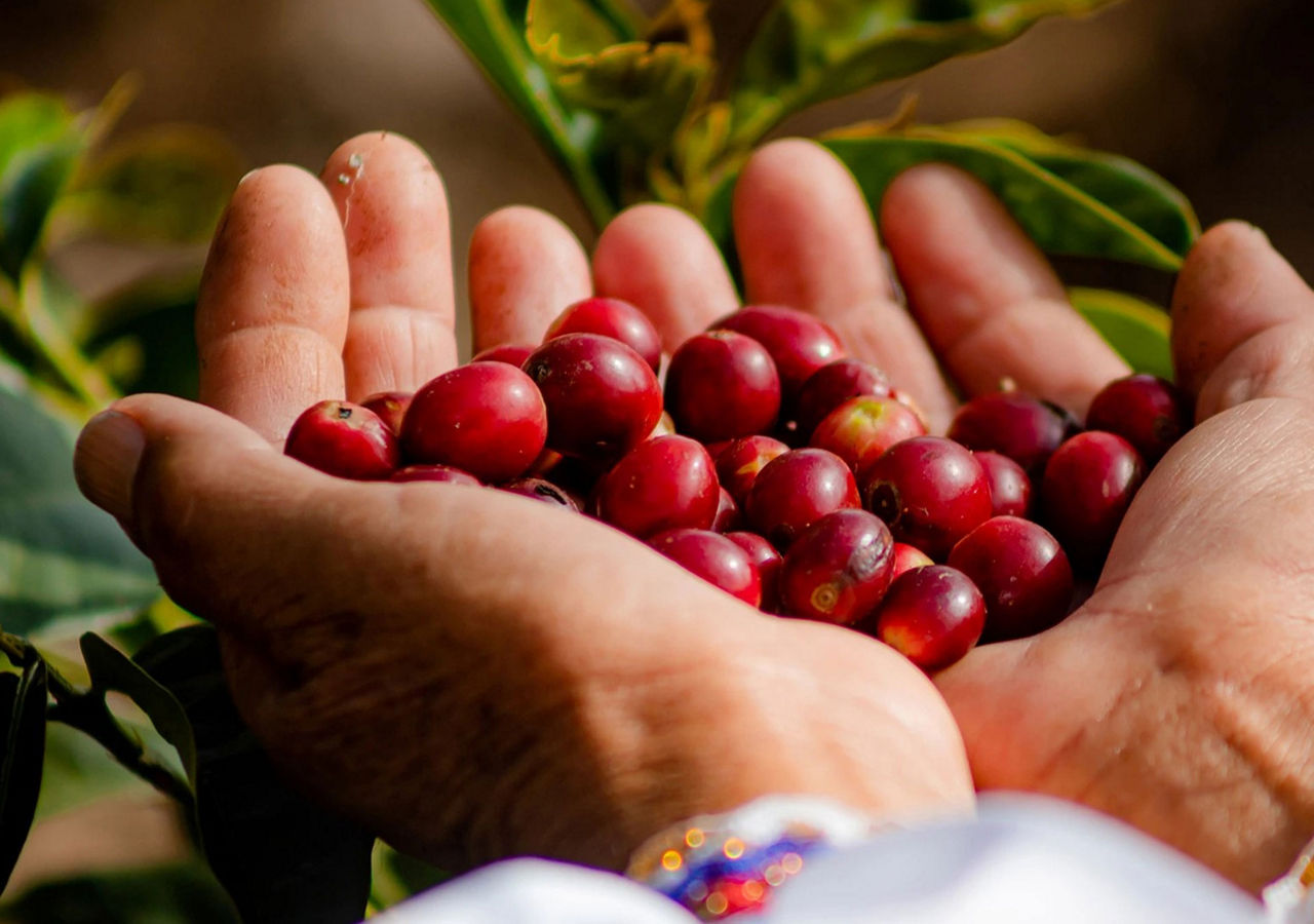 Reformulation | Kerry