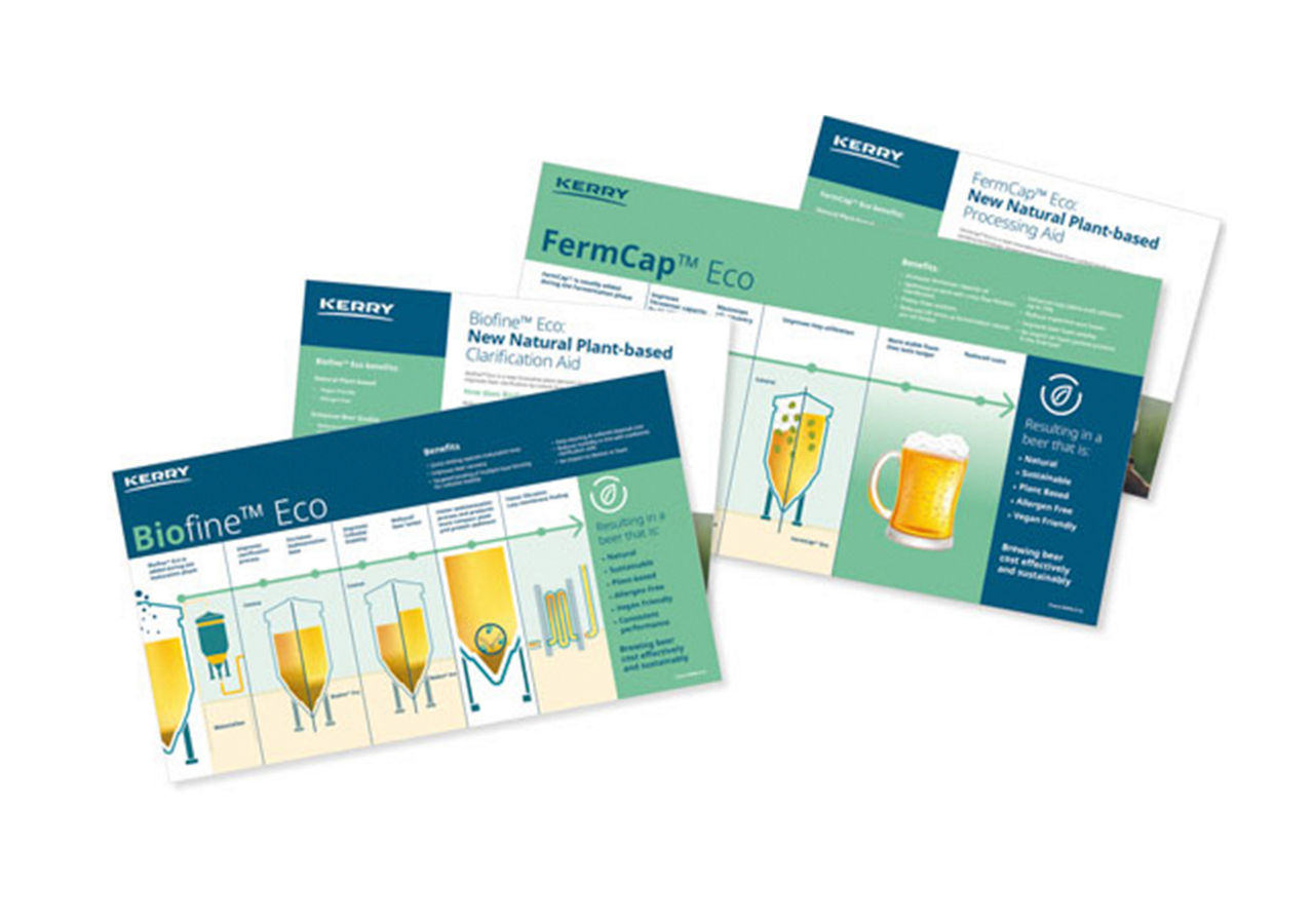 Sustainable Beer Brewing Solutions | Eco Range Infographic | Kerry