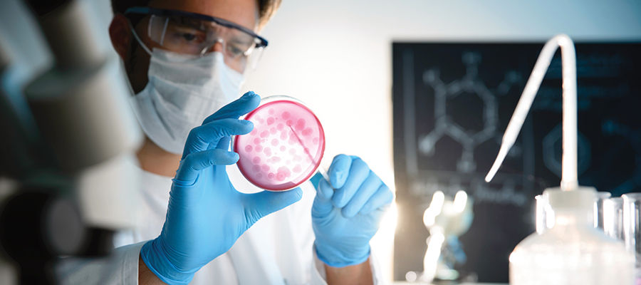 Understanding the Growing Acacia Soluble Fiber Market | Kerry