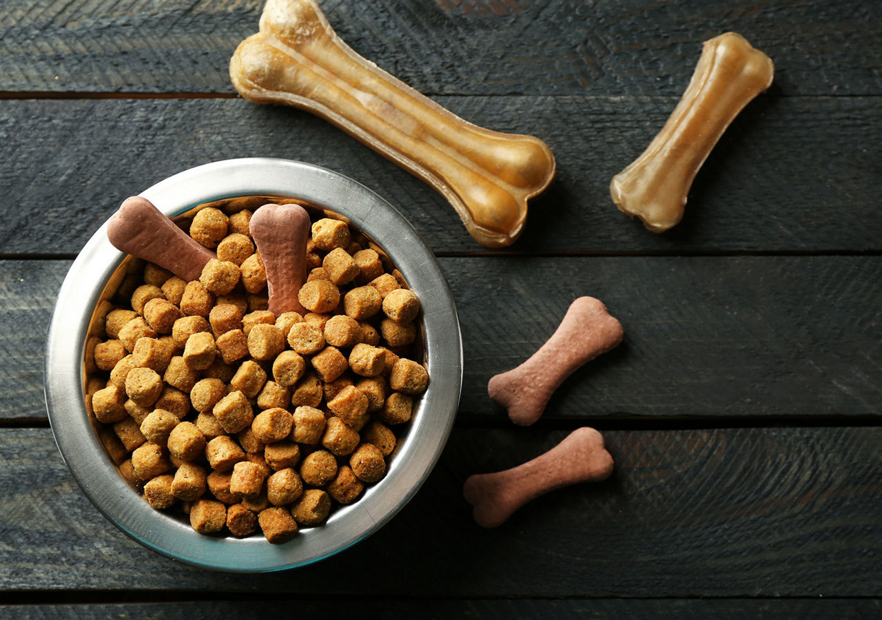 Pet Nutrition & Wellness | Kerry