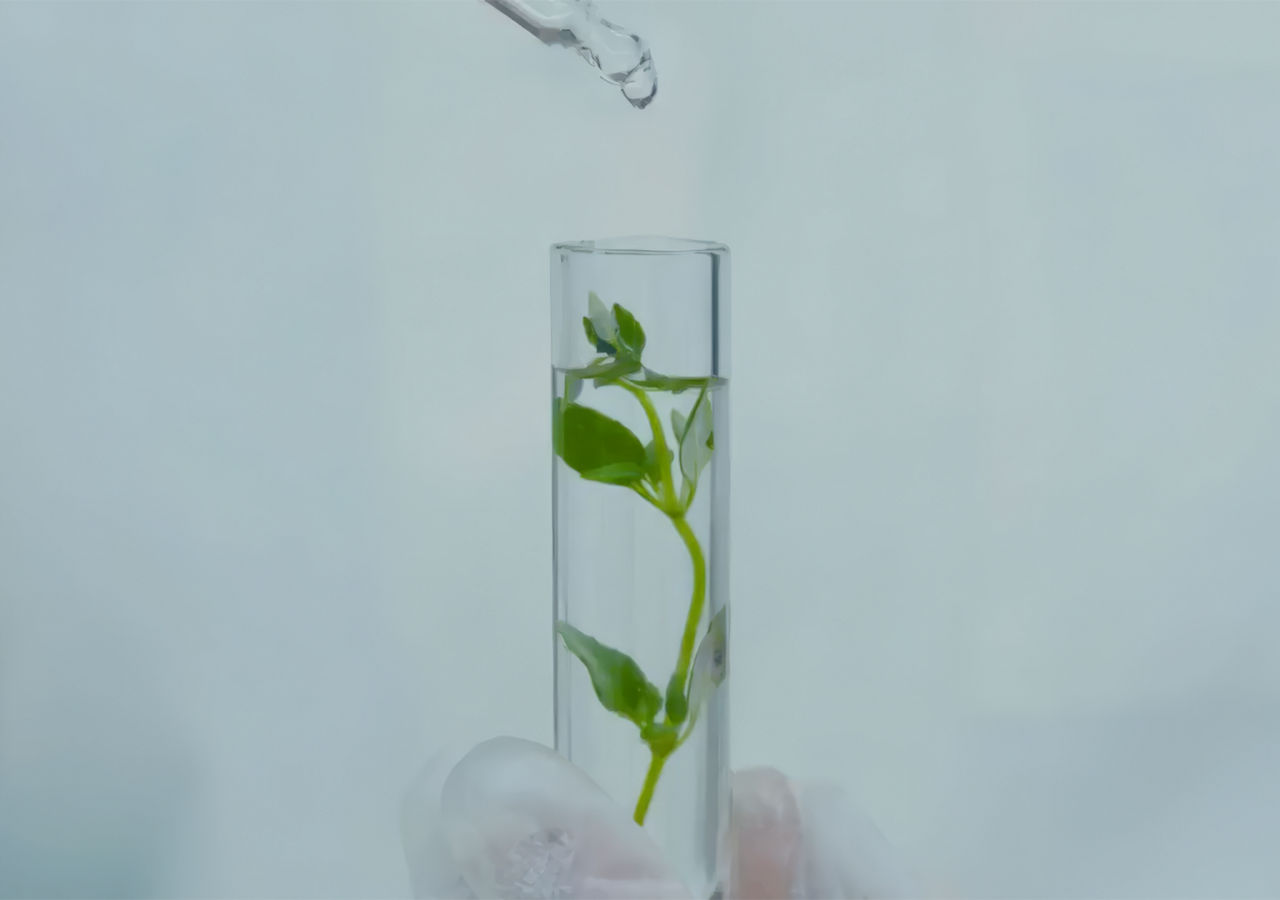 Reformulation | Kerry