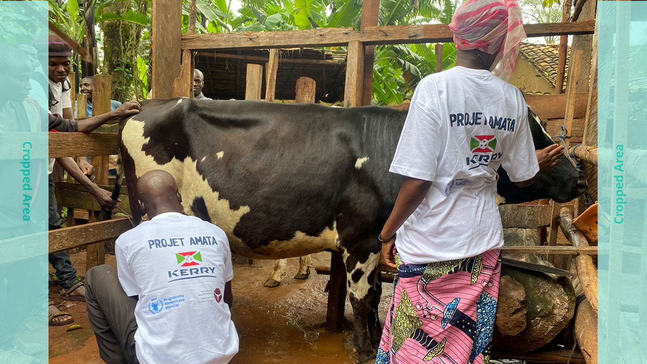 Project Amata | Kerry