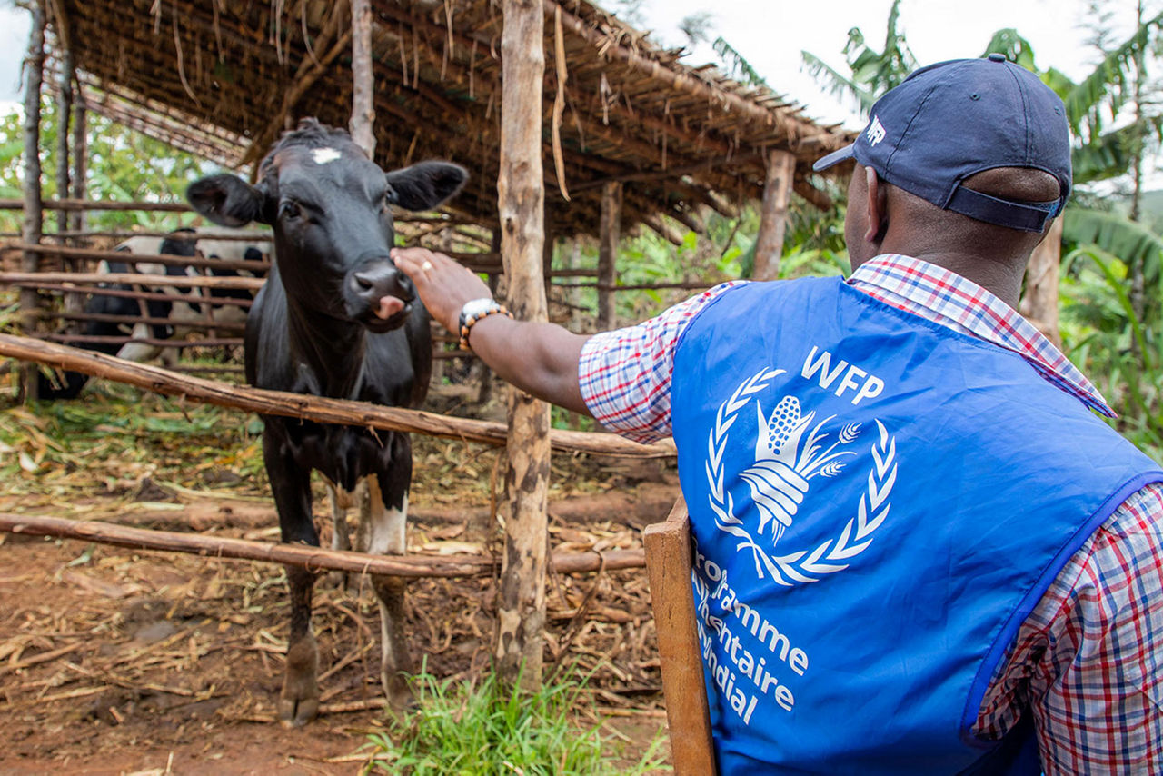 Our Commitments | Kerry