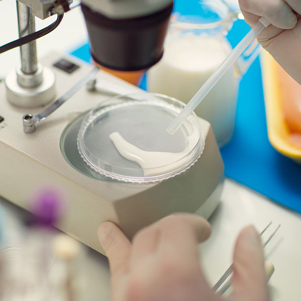 A Tribute to Women in Science: Renetta Cooper's Journey in Food ...