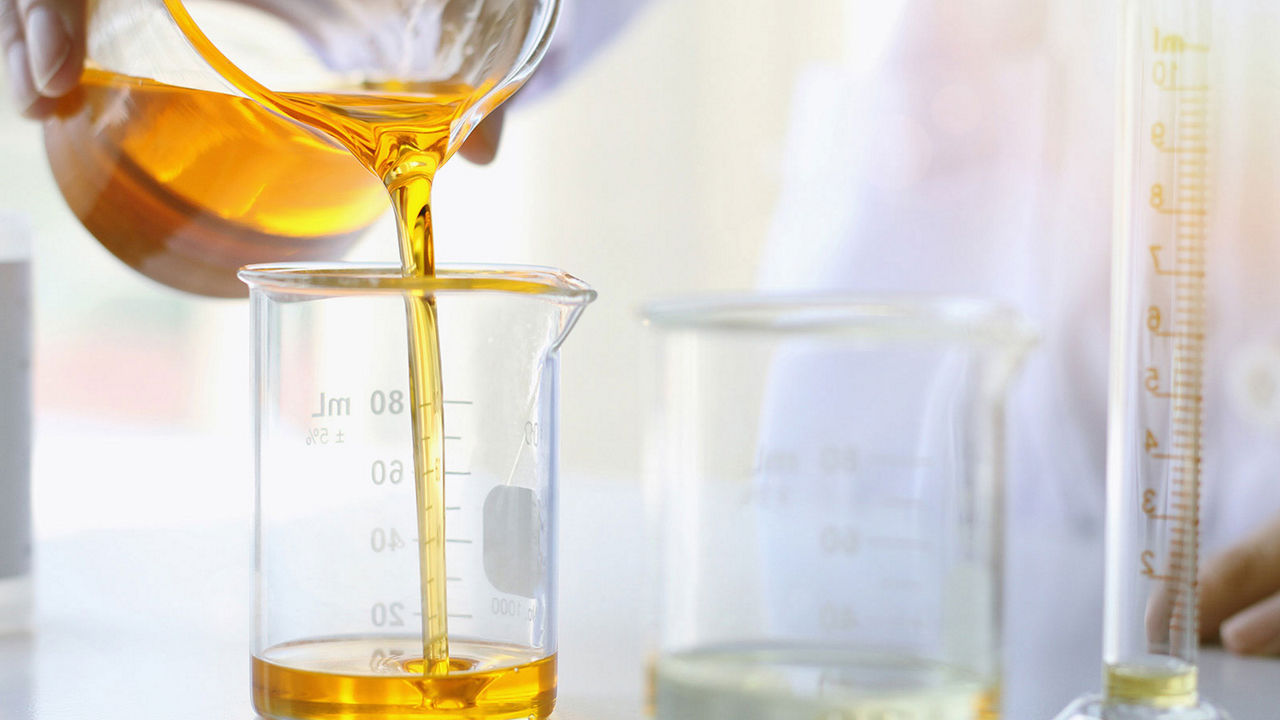 Students & Graduates | Global Careers at Kerry