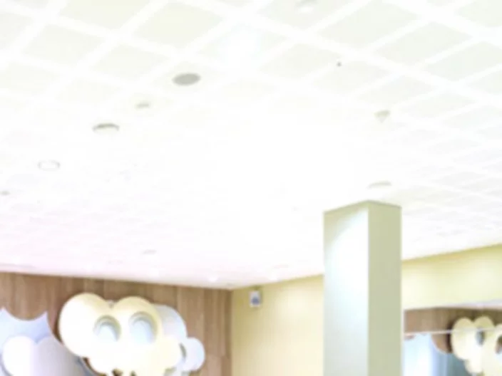 Danoline : solutions spécifiques pour plafonds et murs | Knauf