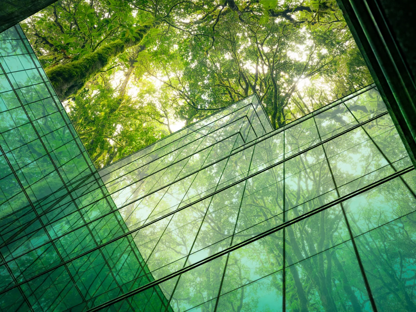 トレーニング | Knauf.com Japan