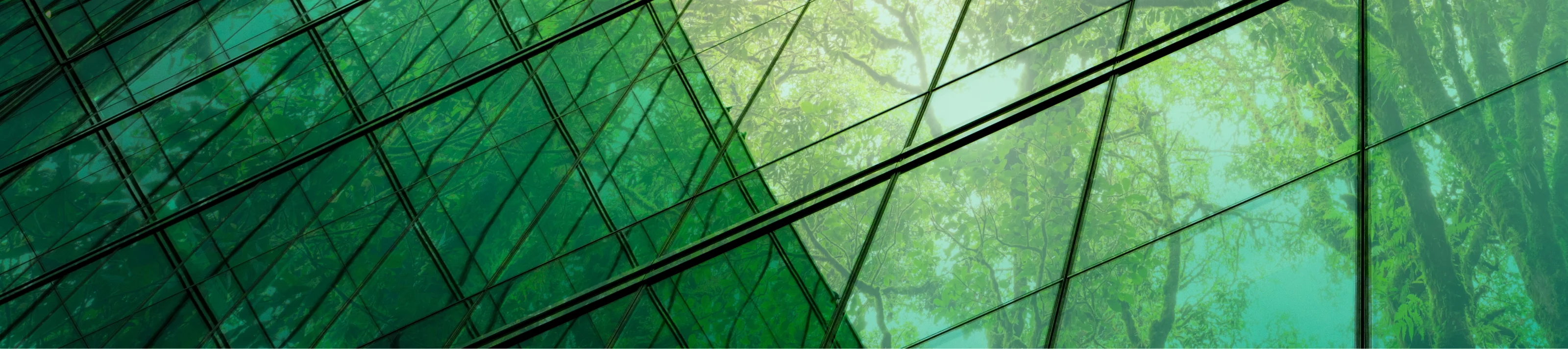 Knauf | Mineral Wool Insulation With The ECOSE® Difference