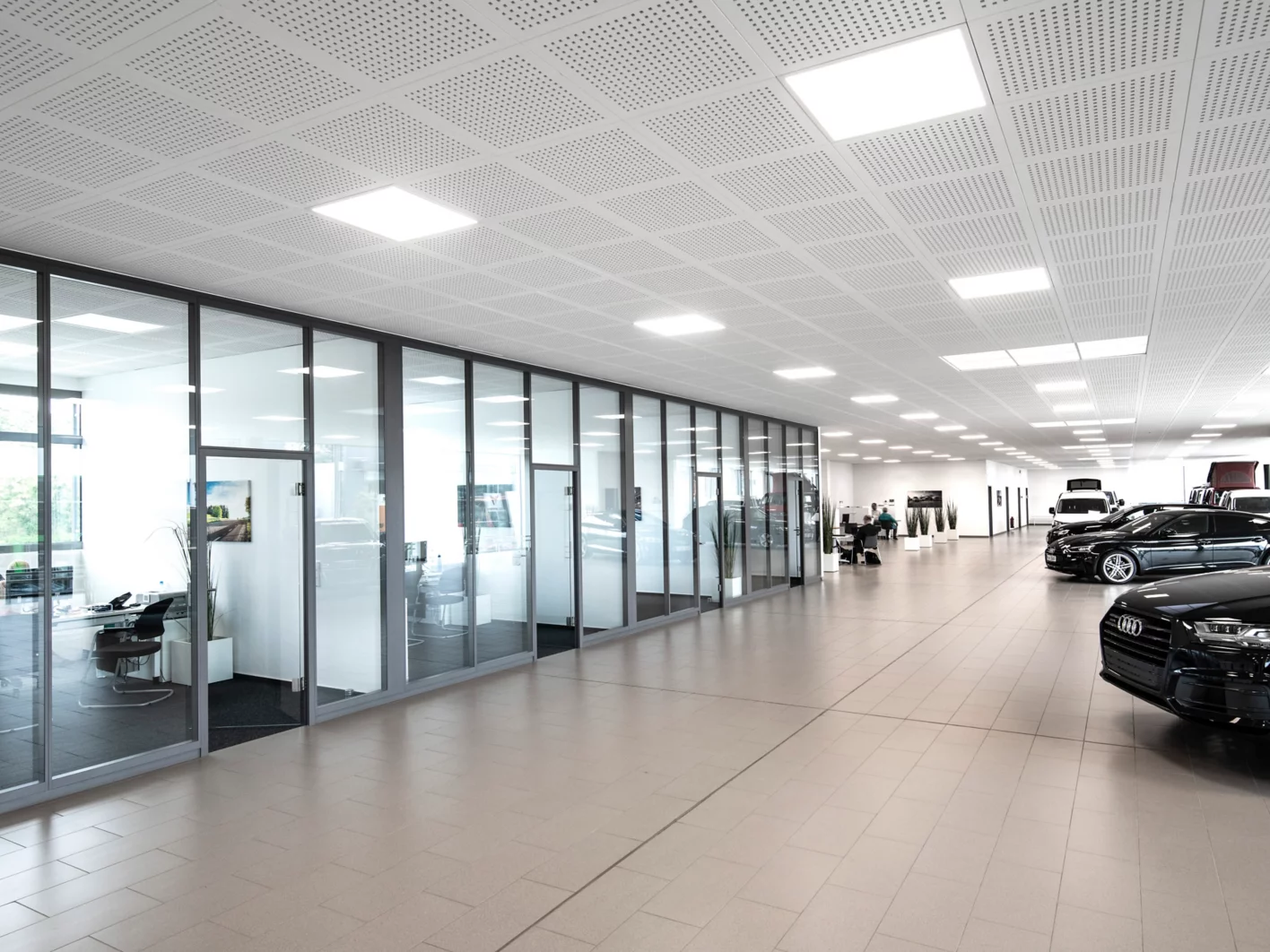 Cleaneo Akustik-Plattendecken: Lochungen und Designs im Vergleich | Knauf