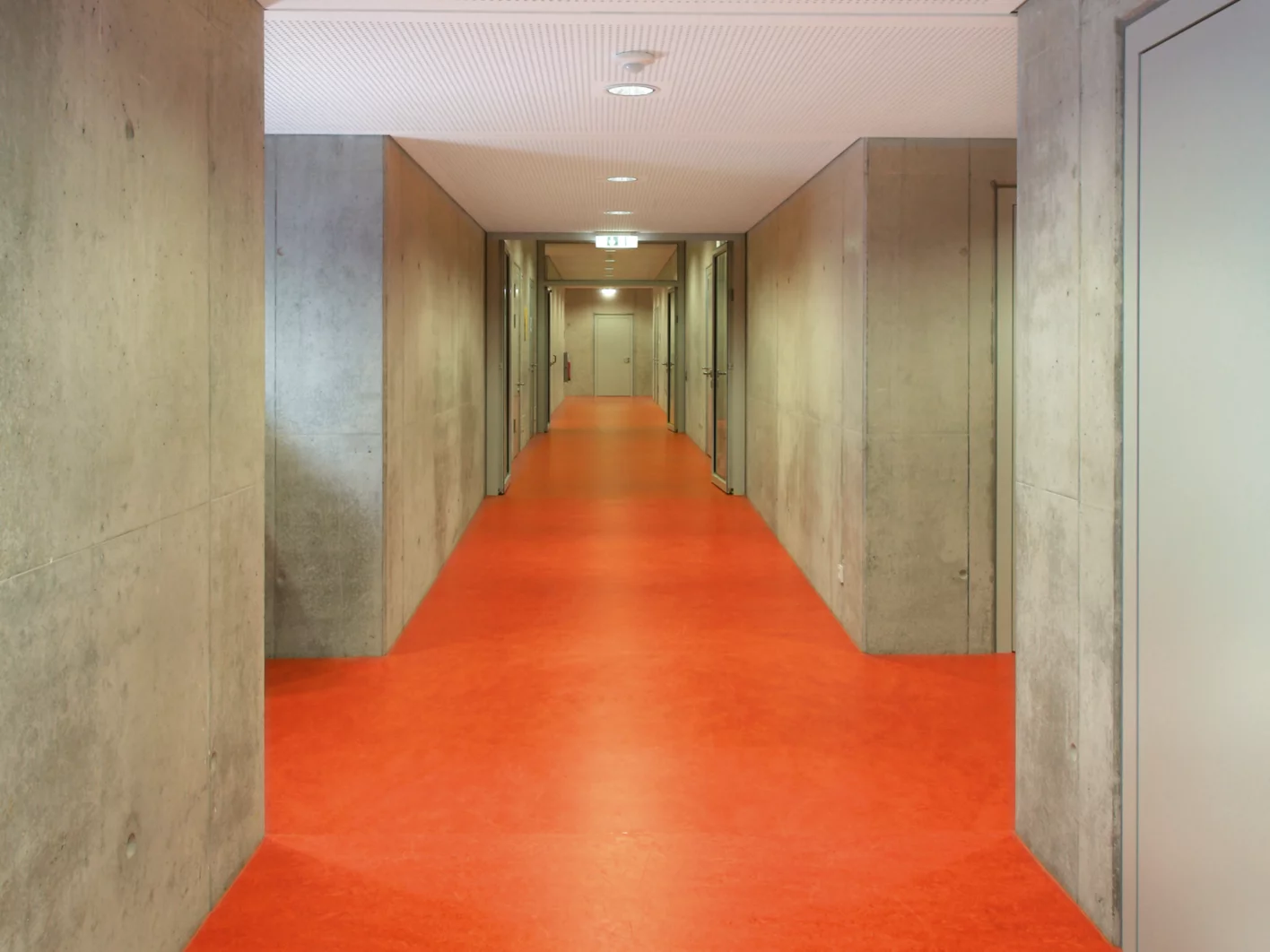 Cleaneo Akustik-Plattendecken: Lochungen und Designs im Vergleich | Knauf