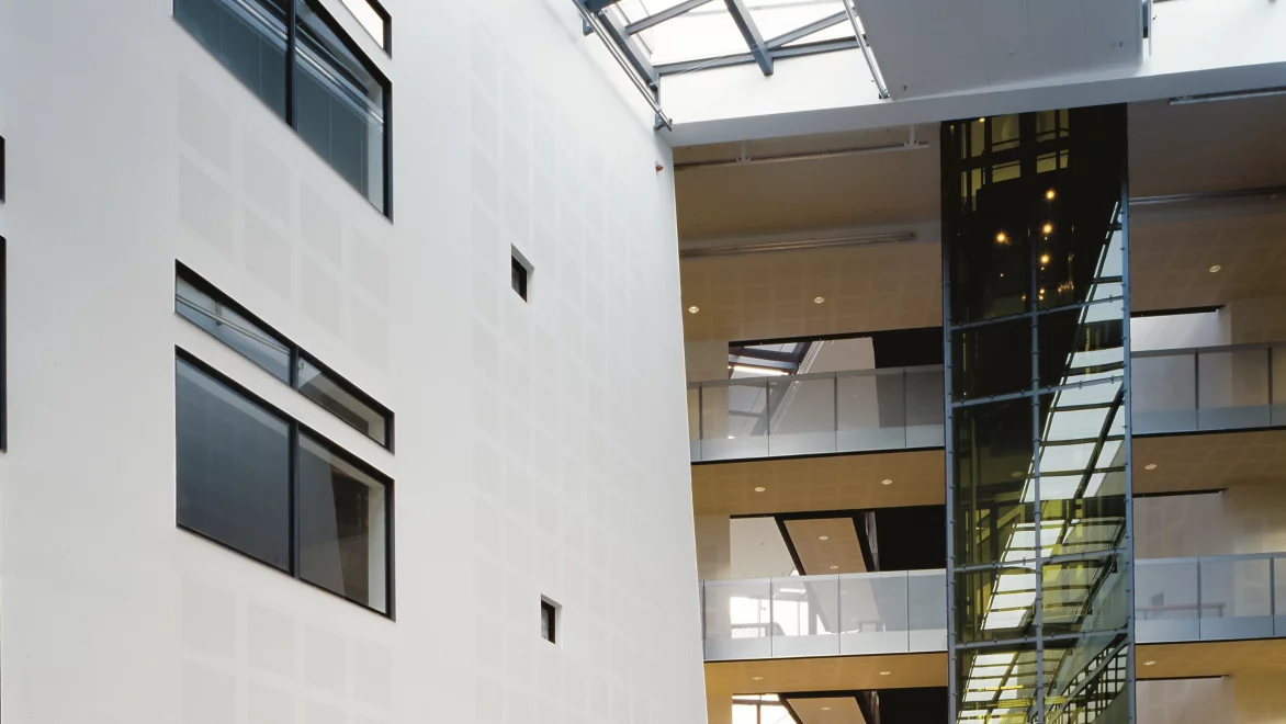 Cleaneo Akustik-Plattendecken: Lochungen und Designs im Vergleich | Knauf