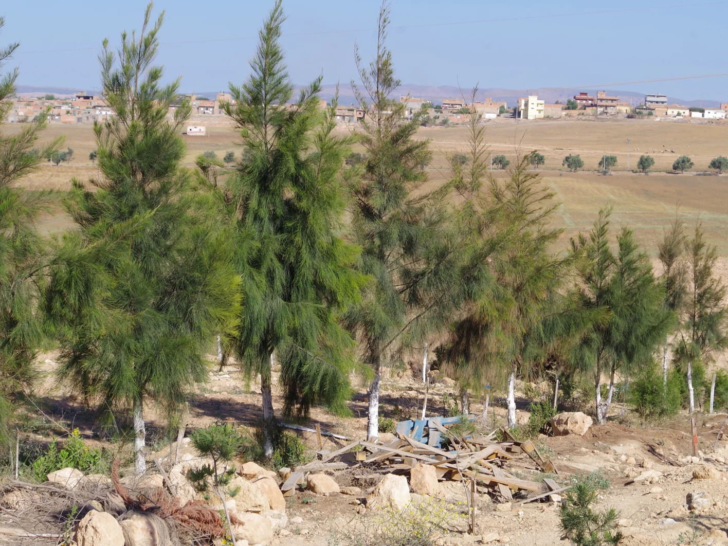 Knauf Algérie | Sustainability