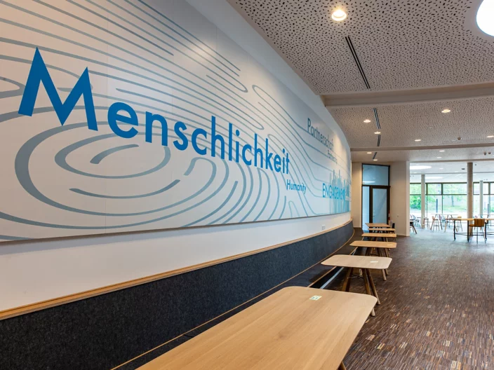 Cleaneo Akustik-Plattendecken: Lochungen und Designs im Vergleich | Knauf