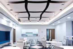 Ceilings & wall absorbers