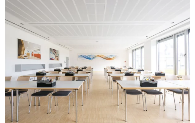 VARIOLINE Metal (Acoustic)