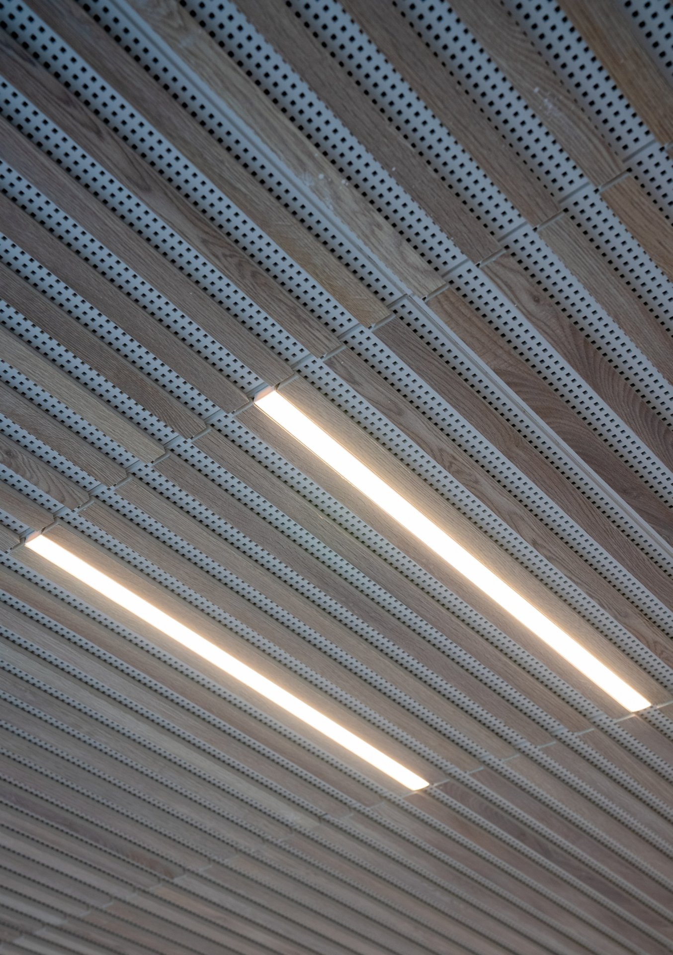 Knauf Danoline - Rold12 - kit led