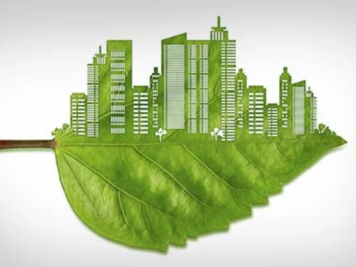 knauf Platre Algérie