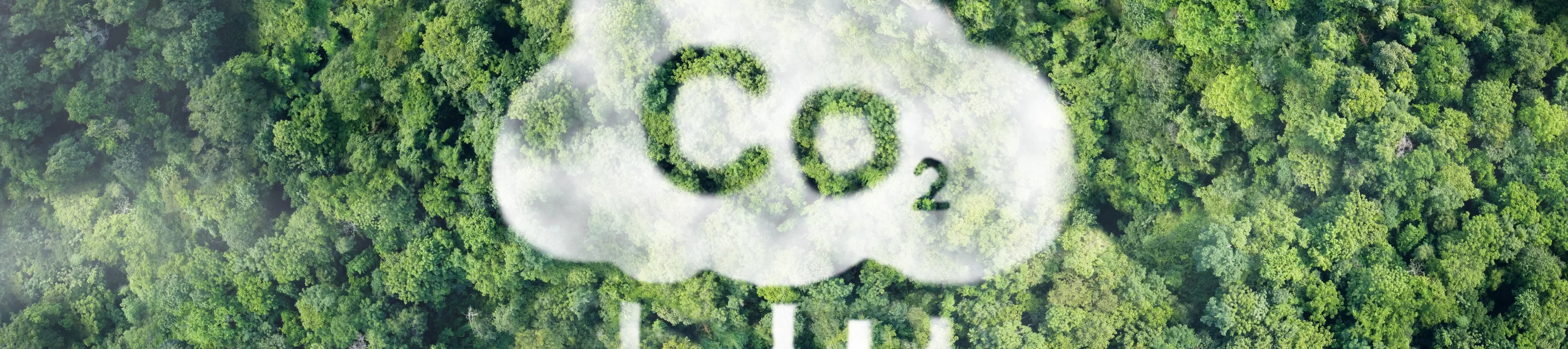 Descarbonización | Knauf Insulation