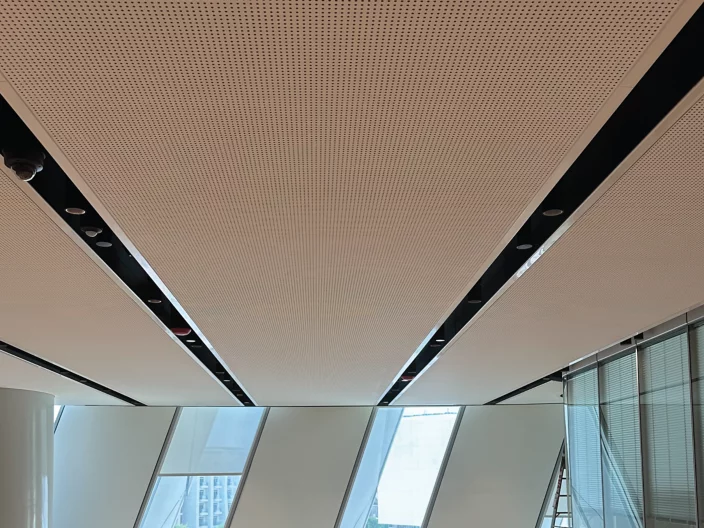 Jointless Ceiling Surfaces