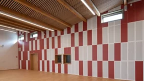 DANOLINE תקרות גבס אקוסטיות | אריחי גבס ולוחות מחוררים - אורבונד